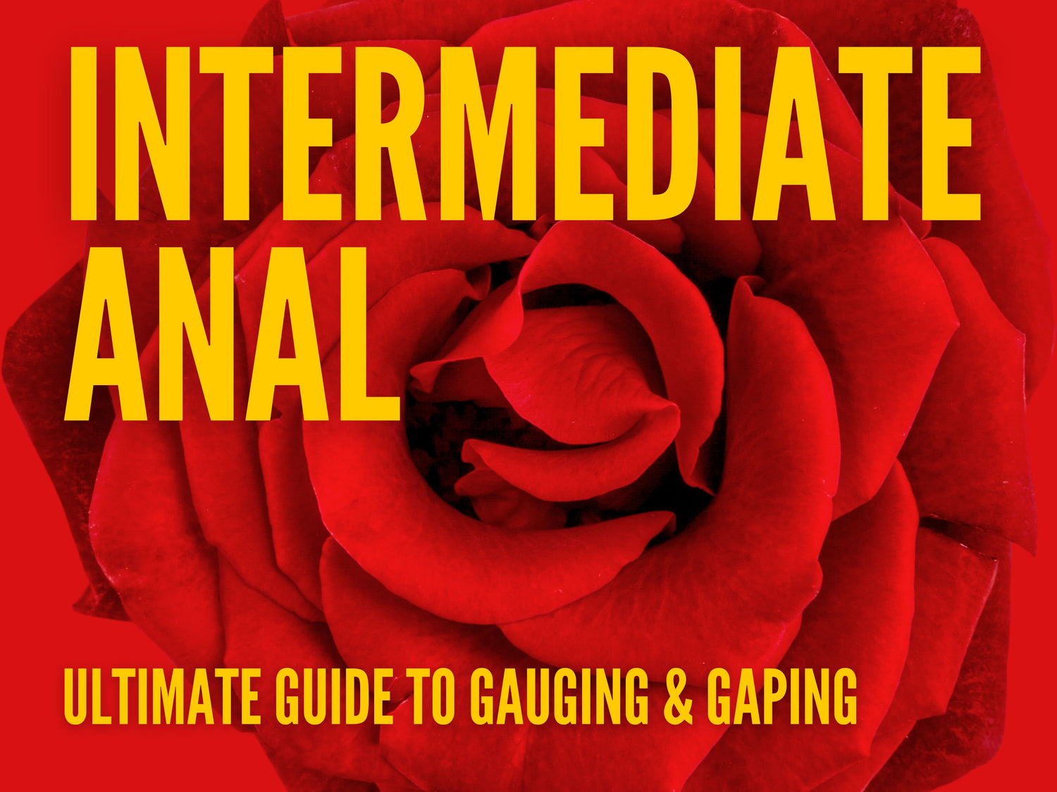 The Intermediate Guide to Anal Gauging, Gaping, and Fisting – The Butters Hygienics Co.