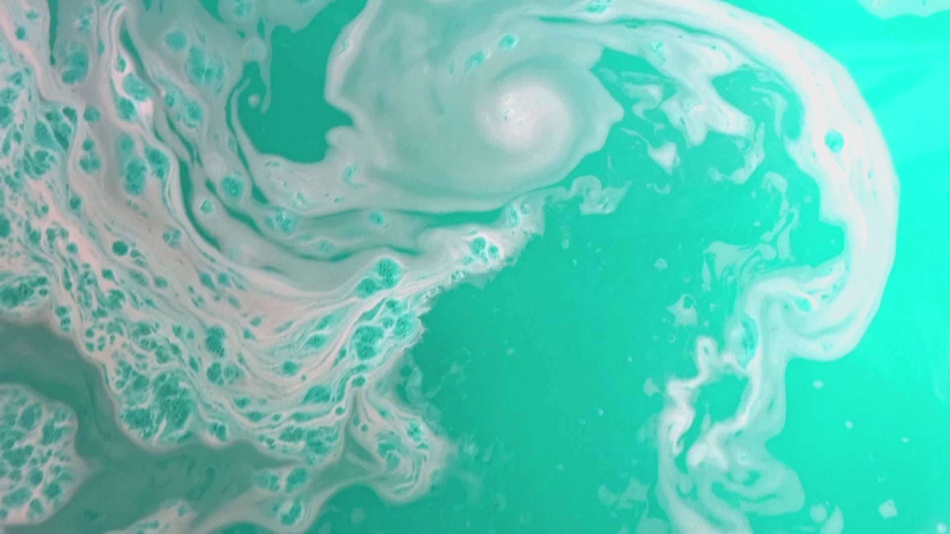 Bamboo 🎋 Lotus Bath Bomb 💣w/ Hempseed Oil (100mg Pure CBD) [2-Pack ...